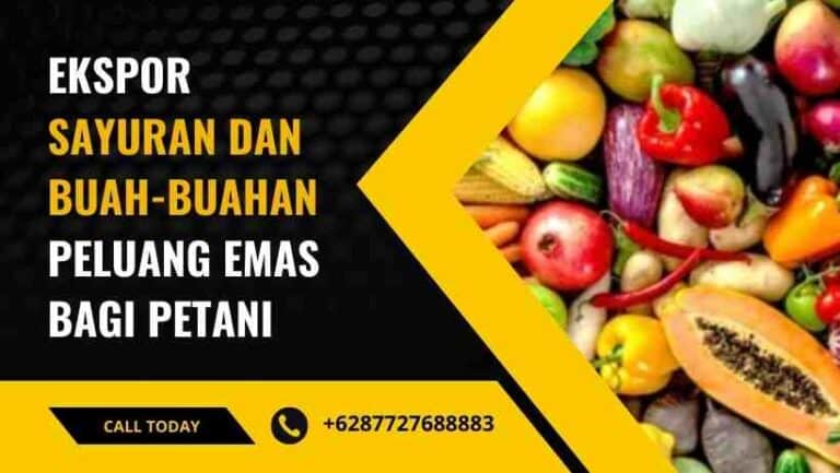 Ekspor Sayuran dan Buah-buahan Peluang Emas bagi Petani – Jangkar Global Groups