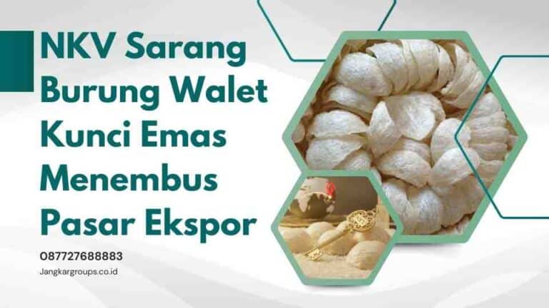 NKV Sarang Burung Walet Kunci Emas Menembus Pasar Ekspor